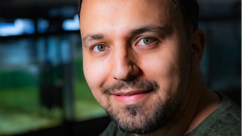 Electrical and Computer Engineering | Electrical and Computer Engineering